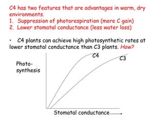 C4 and C3 photosynthetic pathway in plants | PPT