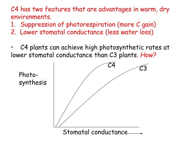 C4 and C3 photosynthetic pathway in plants | PPT | Free Download