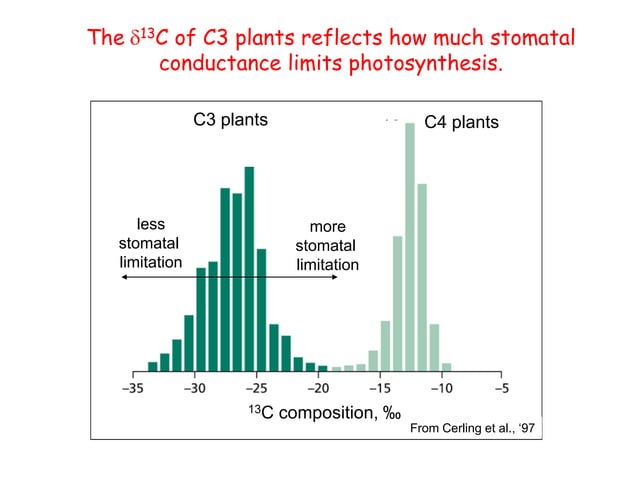 C4 and C3 photosynthetic pathway in plants | PPT