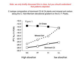 C4 and C3 photosynthetic pathway in plants | PPT