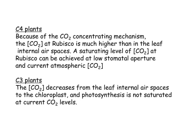 C4 and C3 photosynthetic pathway in plants | PPT