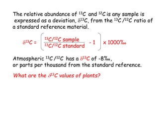 C4 and C3 photosynthetic pathway in plants | PPT