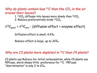 C4 and C3 photosynthetic pathway in plants | PPT