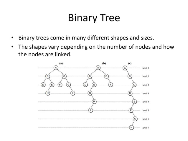 Lecture 21_Trees - I.pptx | Programming Languages | Computing