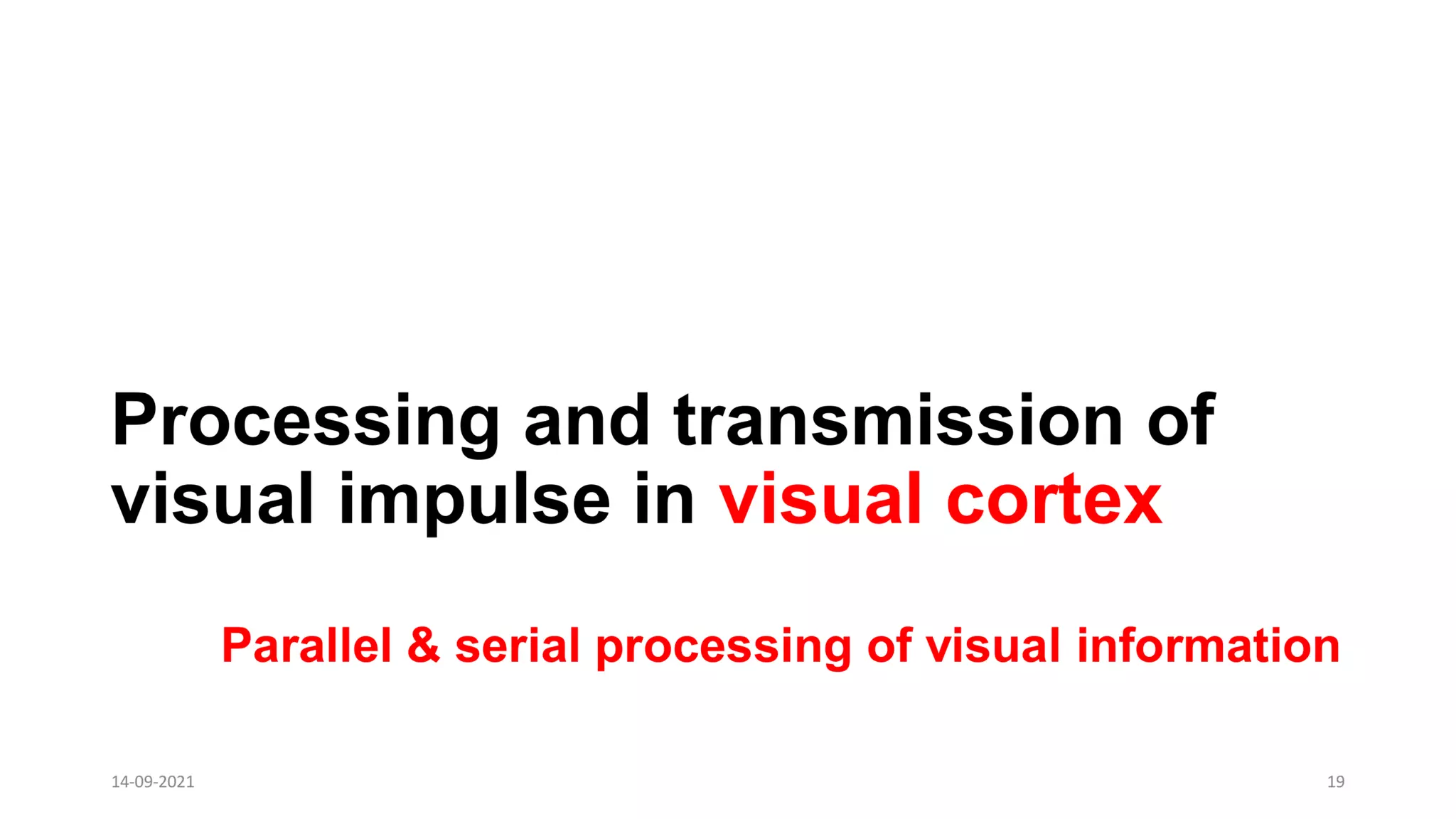 Lecture 6/2022 Special senses -Vision 6 - Physiology of vision -Visual ...