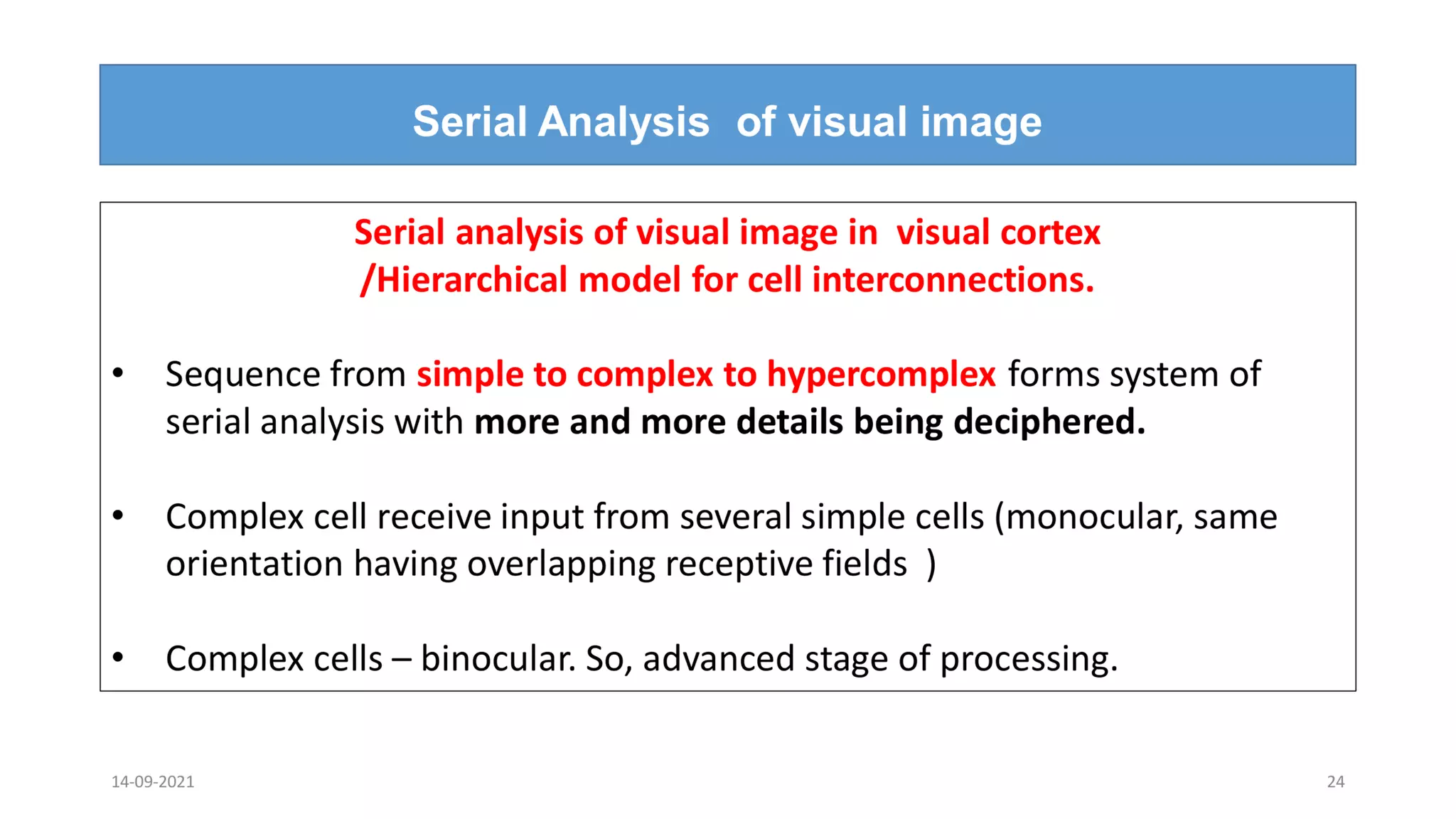 Lecture 6/2022 Special senses -Vision 6 - Physiology of vision -Visual cortex different cells ...