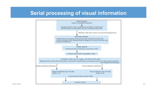 Lecture 6/2022 Special senses -Vision 6 - Physiology of vision -Visual ...