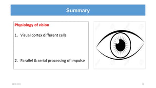 Lecture 6/2022 Special senses -Vision 6 - Physiology of vision -Visual ...