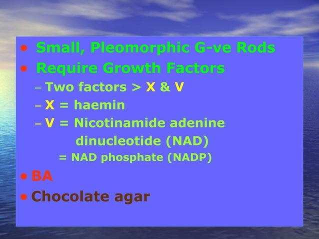 Lecture 22 Haemophilis | PPT