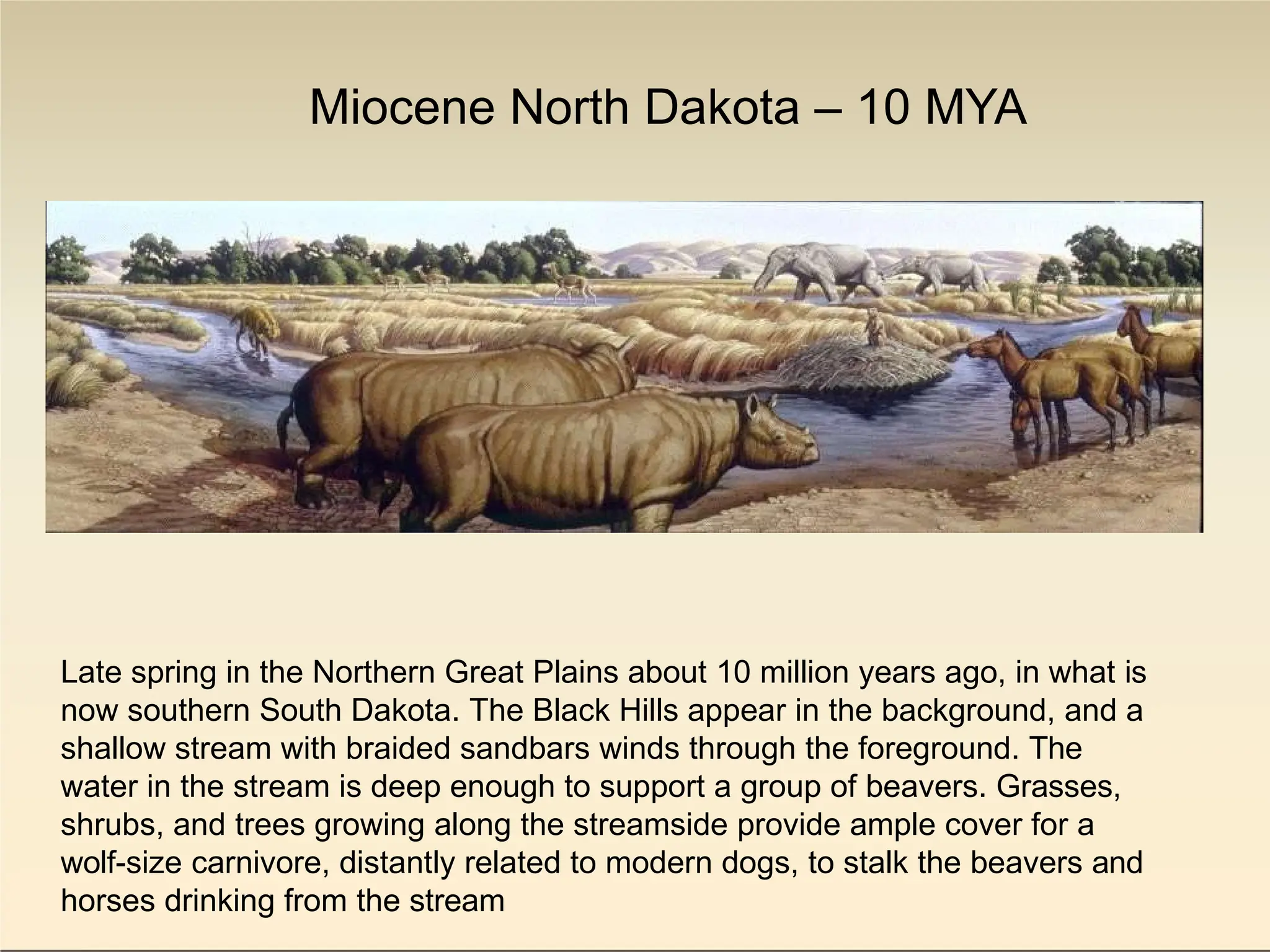 Lecture 22 - Life in the Cenozoic-Min.pptx