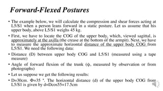 Biomechanics of Human Postural Stability and Ergonomic Risk Assessment ...