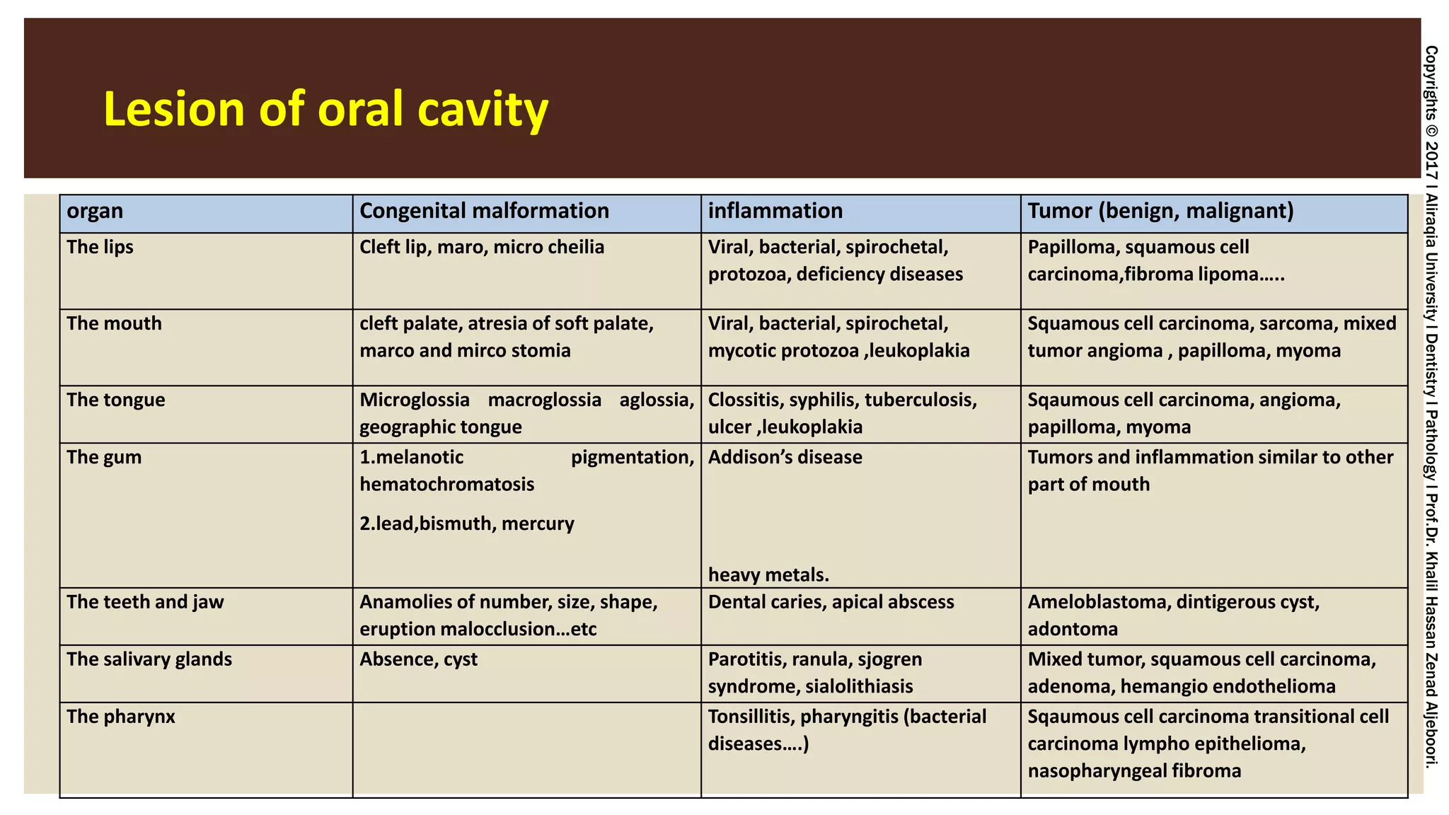 Lecture 22 diseases of alimentary system | PPTX