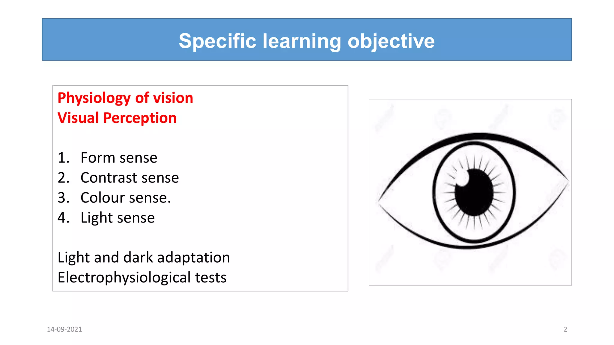 Lecture 7/2022 , Special senses -Vision 7 -Physiology of vision -Visual ...