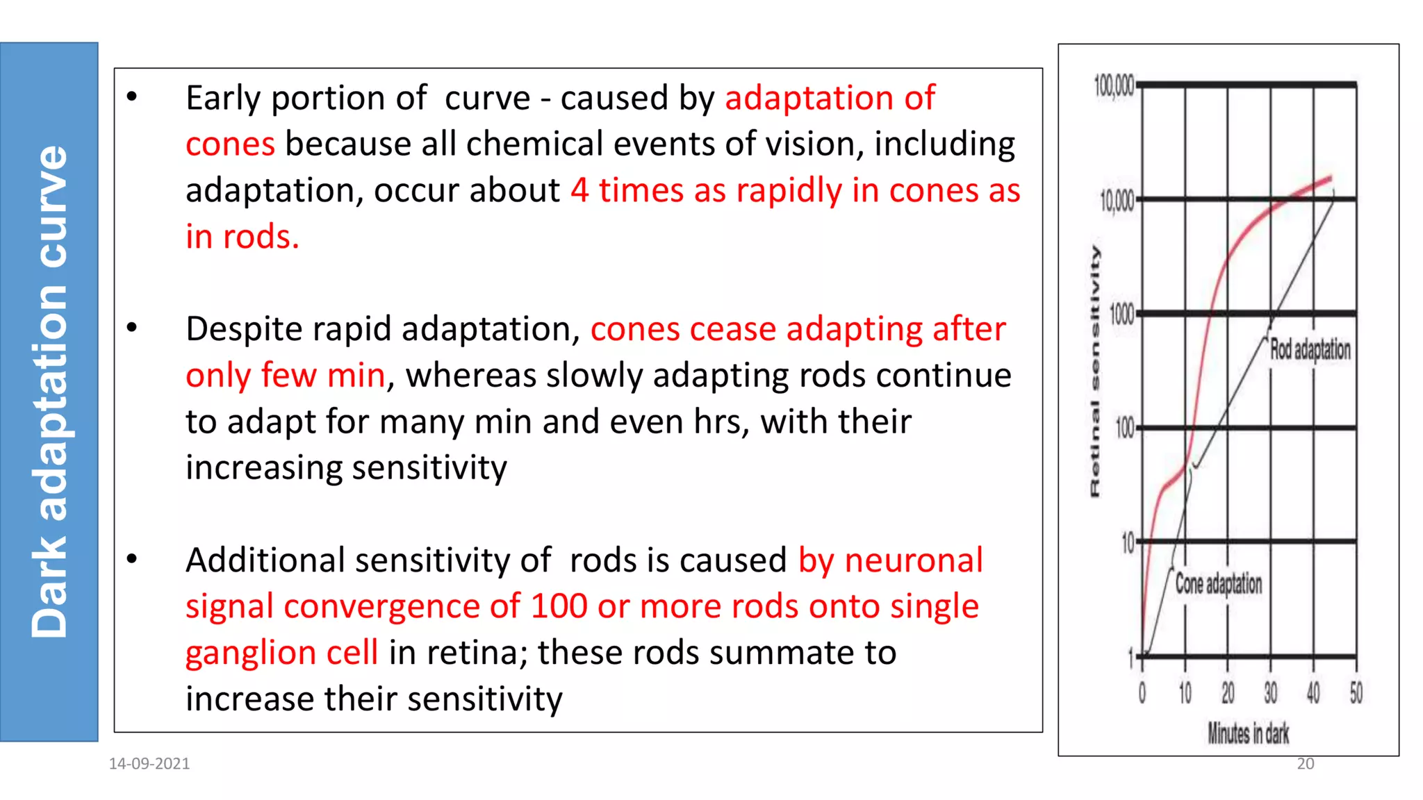 Lecture 7/2022 , Special senses -Vision 7 -Physiology of vision -Visual ...