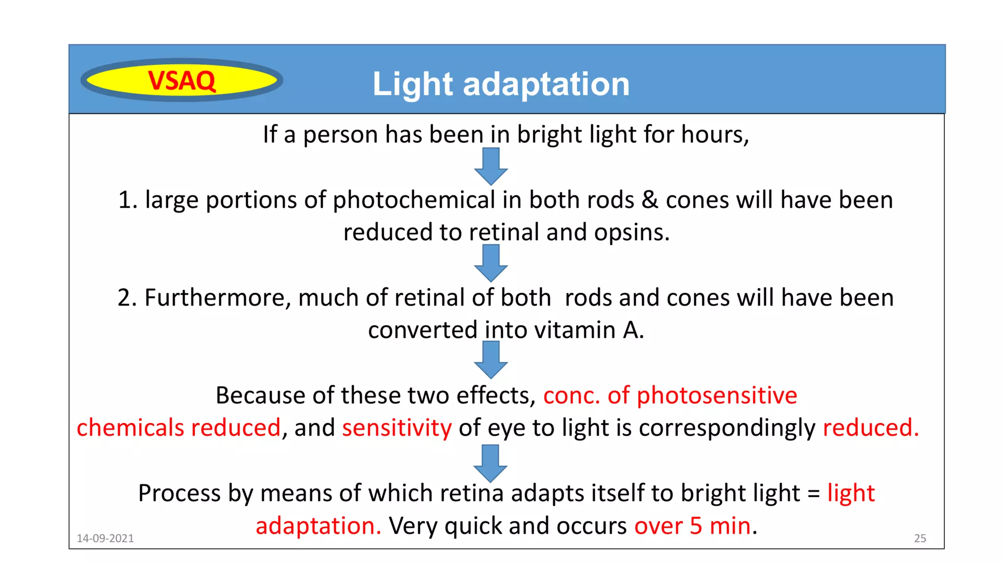 Lecture 7/2022 , Special senses -Vision 7 -Physiology of vision -Visual perception | PPT