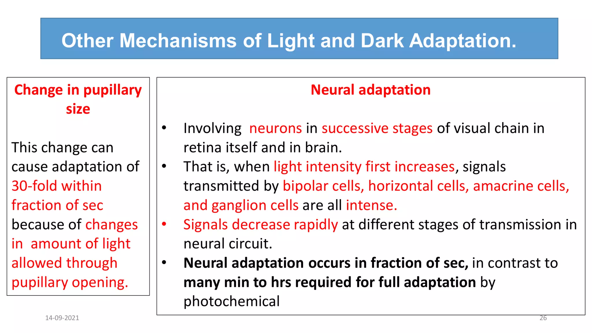 Lecture 7/2022 , Special senses -Vision 7 -Physiology of vision -Visual ...