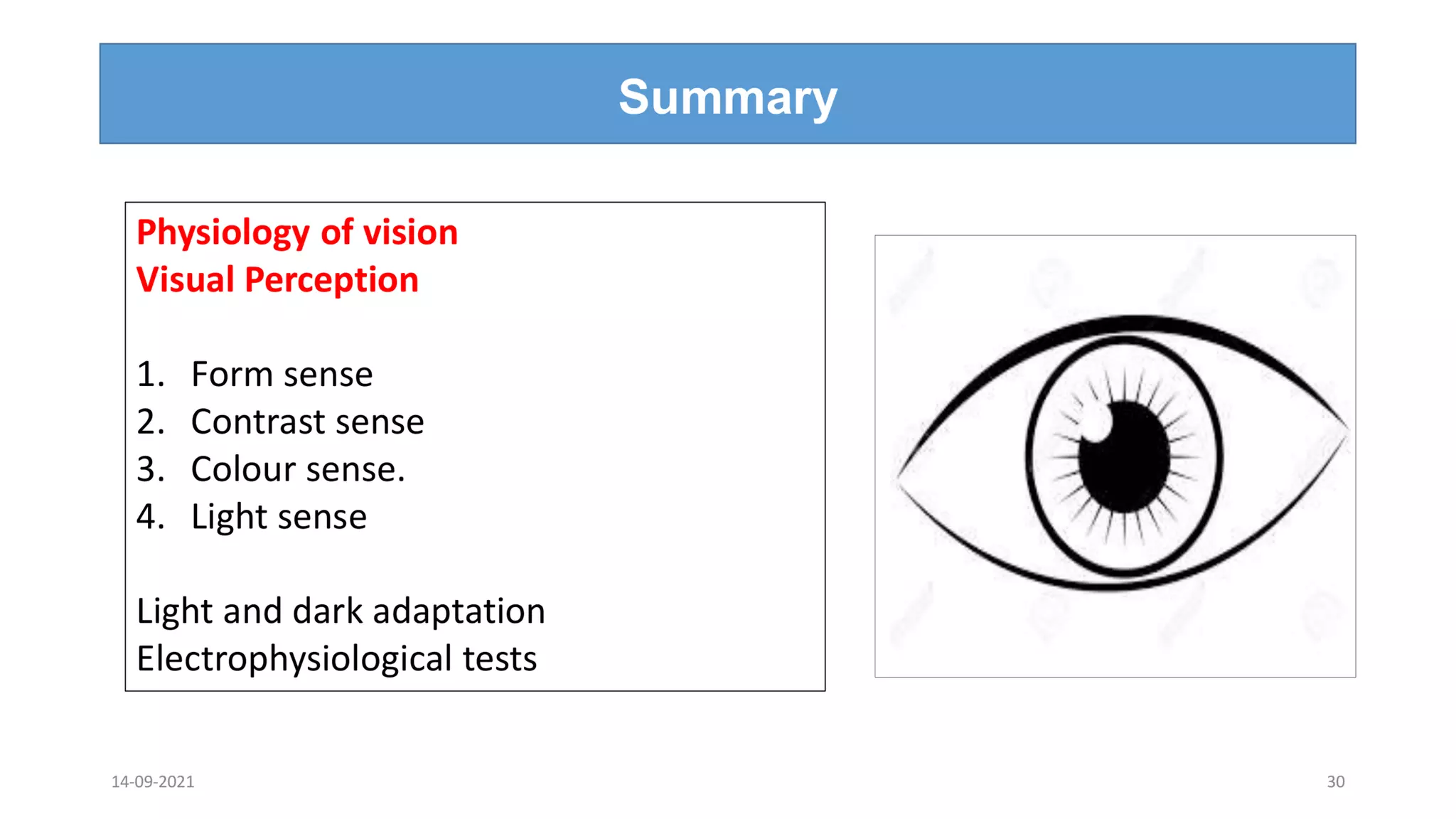 Lecture 7/2022 , Special senses -Vision 7 -Physiology of vision -Visual ...