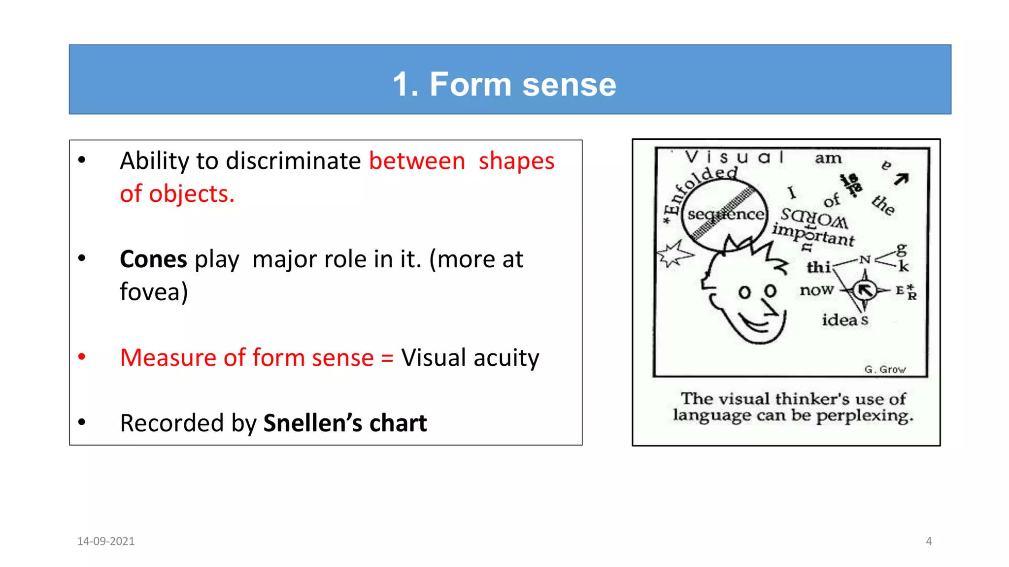 Lecture 7/2022 , Special senses -Vision 7 -Physiology of vision -Visual ...