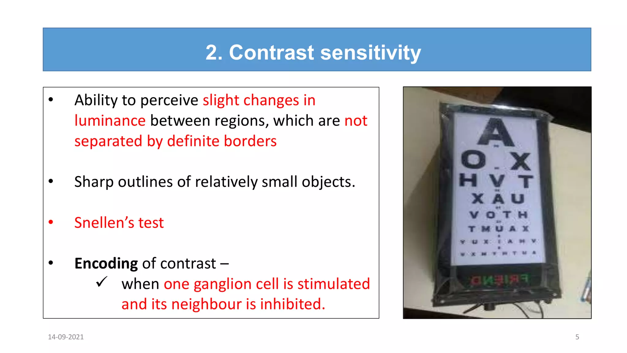 Lecture 7/2022 , Special senses -Vision 7 -Physiology of vision -Visual ...