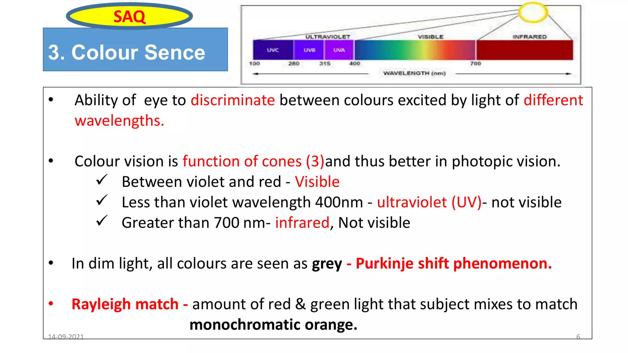 Lecture 7/2022 , Special senses -Vision 7 -Physiology of vision -Visual ...