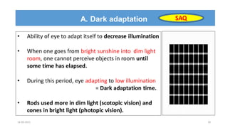 Lecture 7/2022 , Special senses -Vision 7 -Physiology of vision -Visual ...