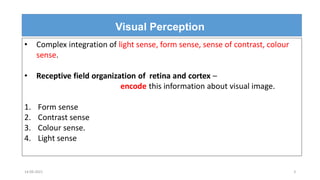 Lecture 7/2022 , Special senses -Vision 7 -Physiology of vision -Visual ...