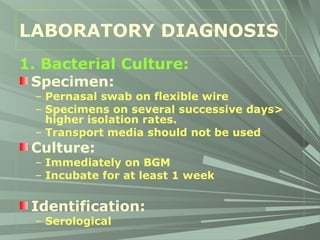Lecture 23 Bordetella | PPT