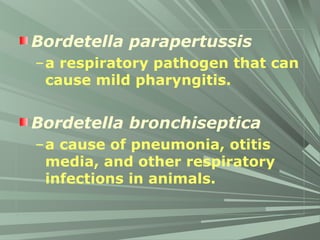 Lecture 23 Bordetella | PPT
