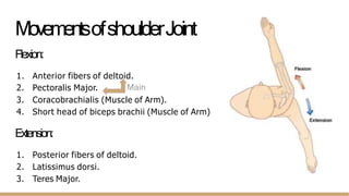 Lecture 23_ Anatomy of the shoulder.pptx