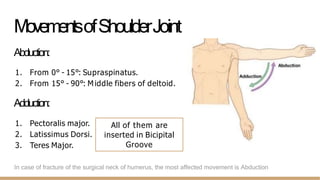 Lecture 23_ Anatomy of the shoulder.pptx