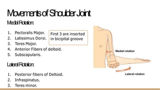 Lecture 23_ Anatomy of the shoulder.pptx | Death, Injury, or Military ...