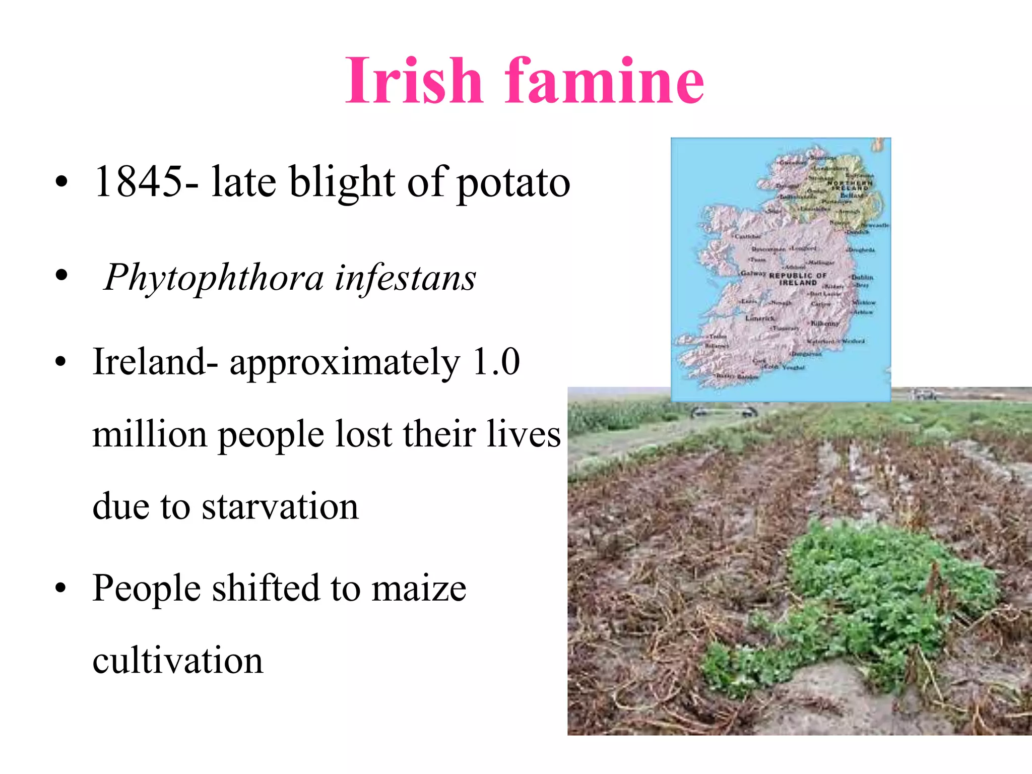 Lecture 2, 3 and 4.ppt