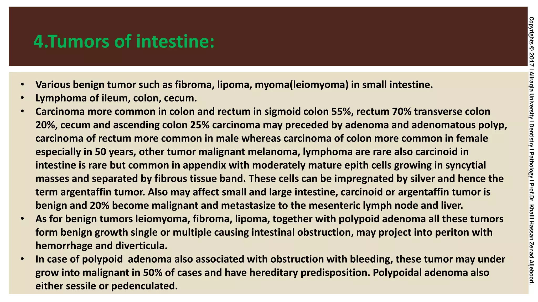 Lecture 23 diseases of alimentary system | PPTX