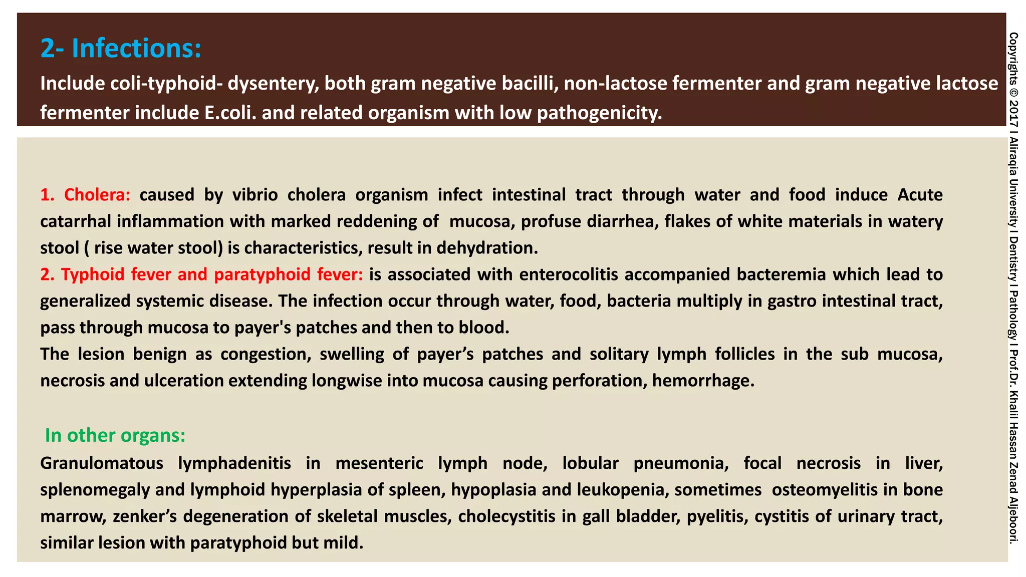 Lecture 23 diseases of alimentary system | PPTX