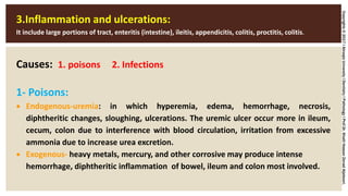 Lecture 23 diseases of alimentary system | PPTX