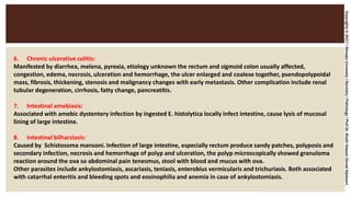 Lecture 23 diseases of alimentary system | PPTX