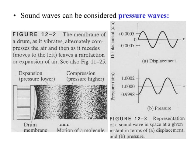 Lecture24.ppt | Digital Audio | Computer Software and Applications