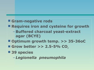 Lecture 24 Legionella | PPT