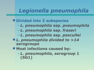 Lecture 24 Legionella | PPT