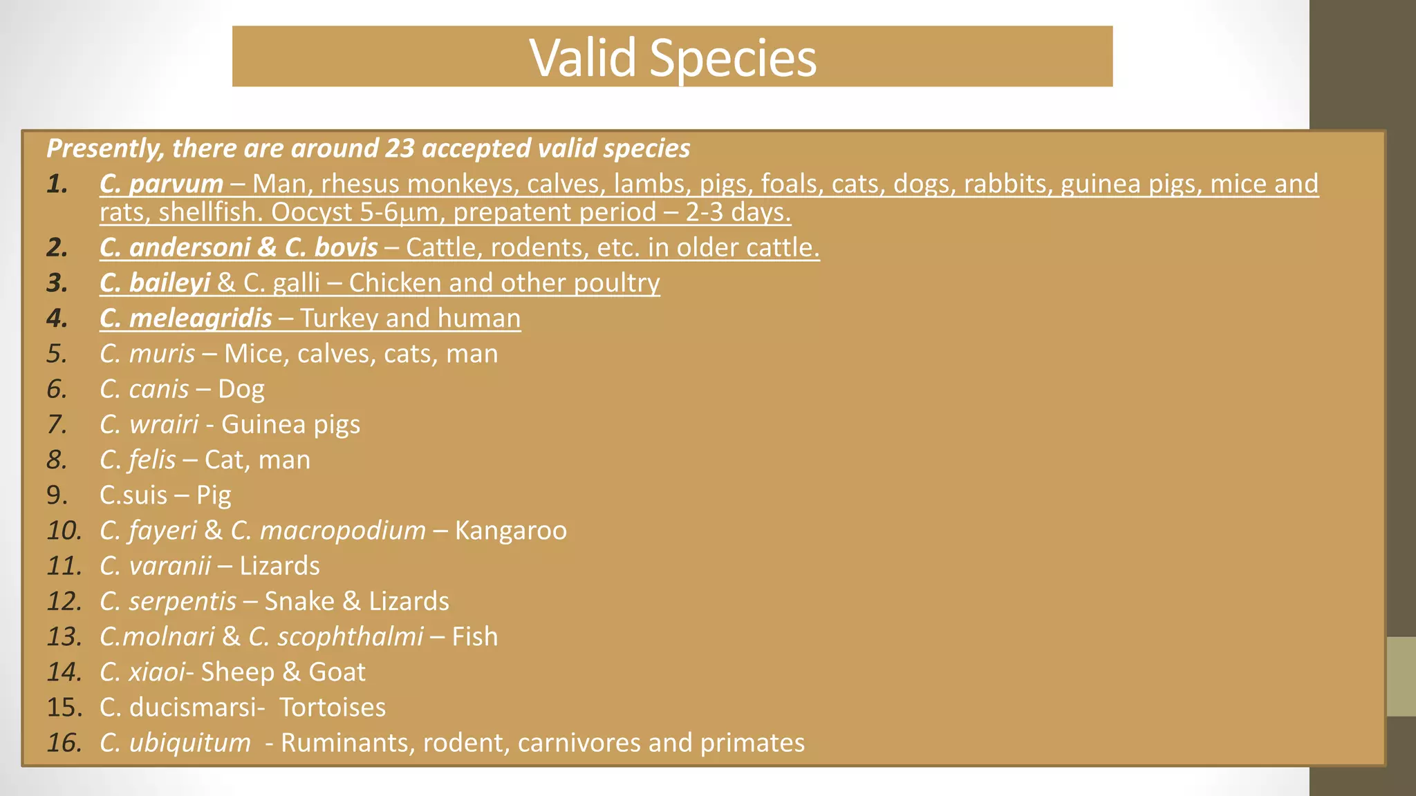 Cryptosporidium | PPTX