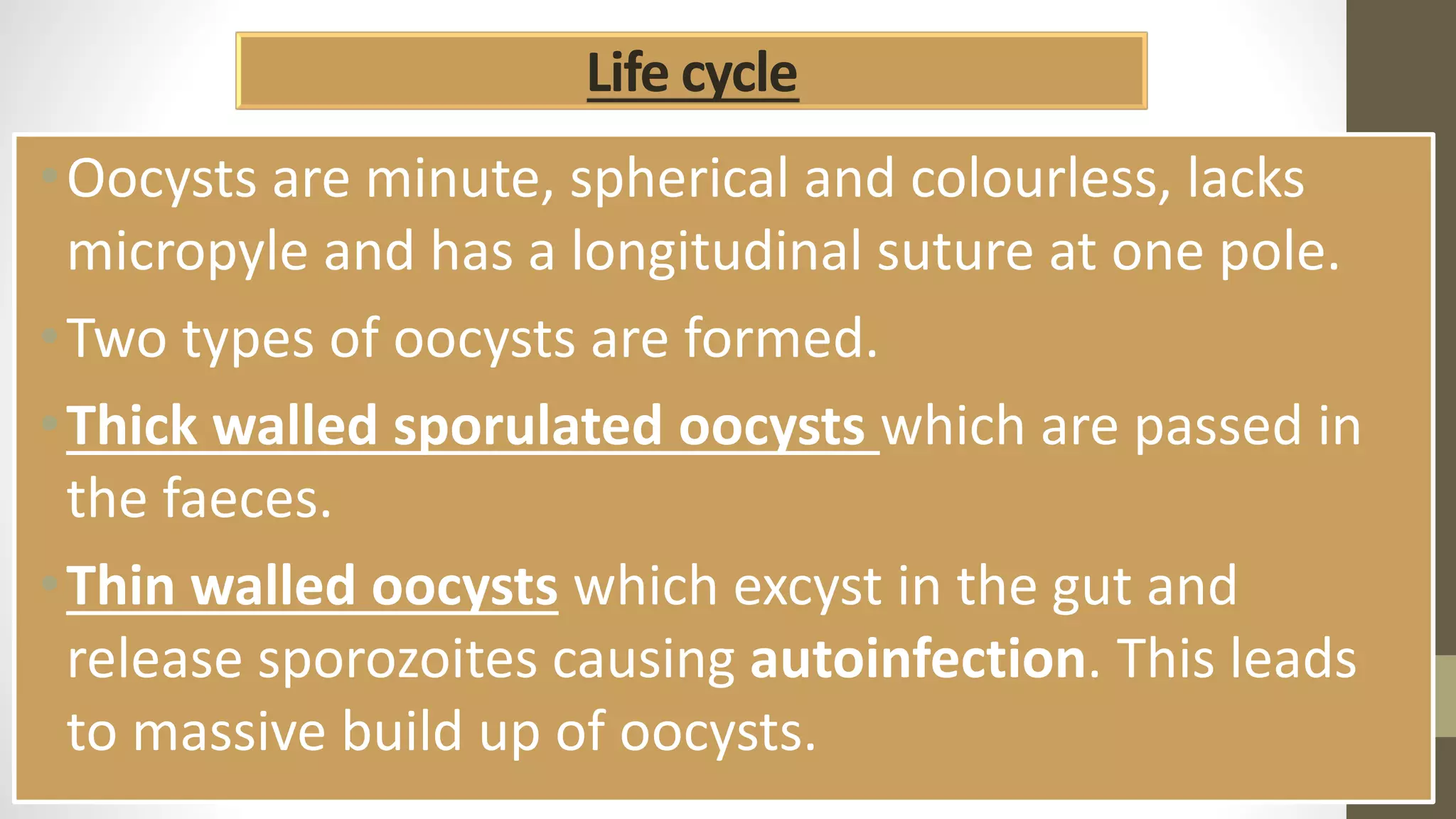 Cryptosporidium | PPTX