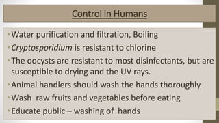 Cryptosporidium | PPTX