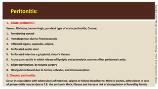 Lecture 24 diseases of alimentary system | PPT