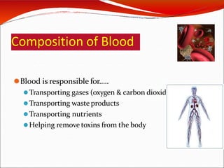 lecture_24_physiology-4_3-converted.pptx | Free Download
