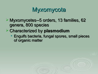 Lecture 24 slime molds | PPT