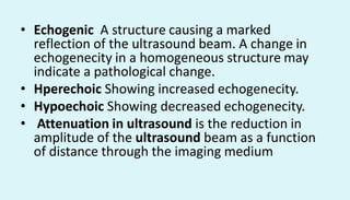 Lecture 24 Ultrasonography in animal reproduction | PDF