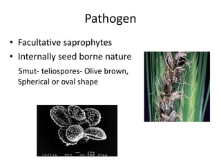 Lecture 25.pptx