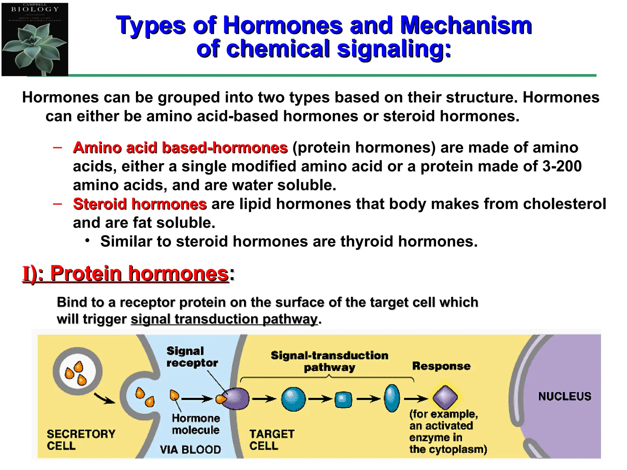 Hormones its classification and chemical naturelecture.ppt