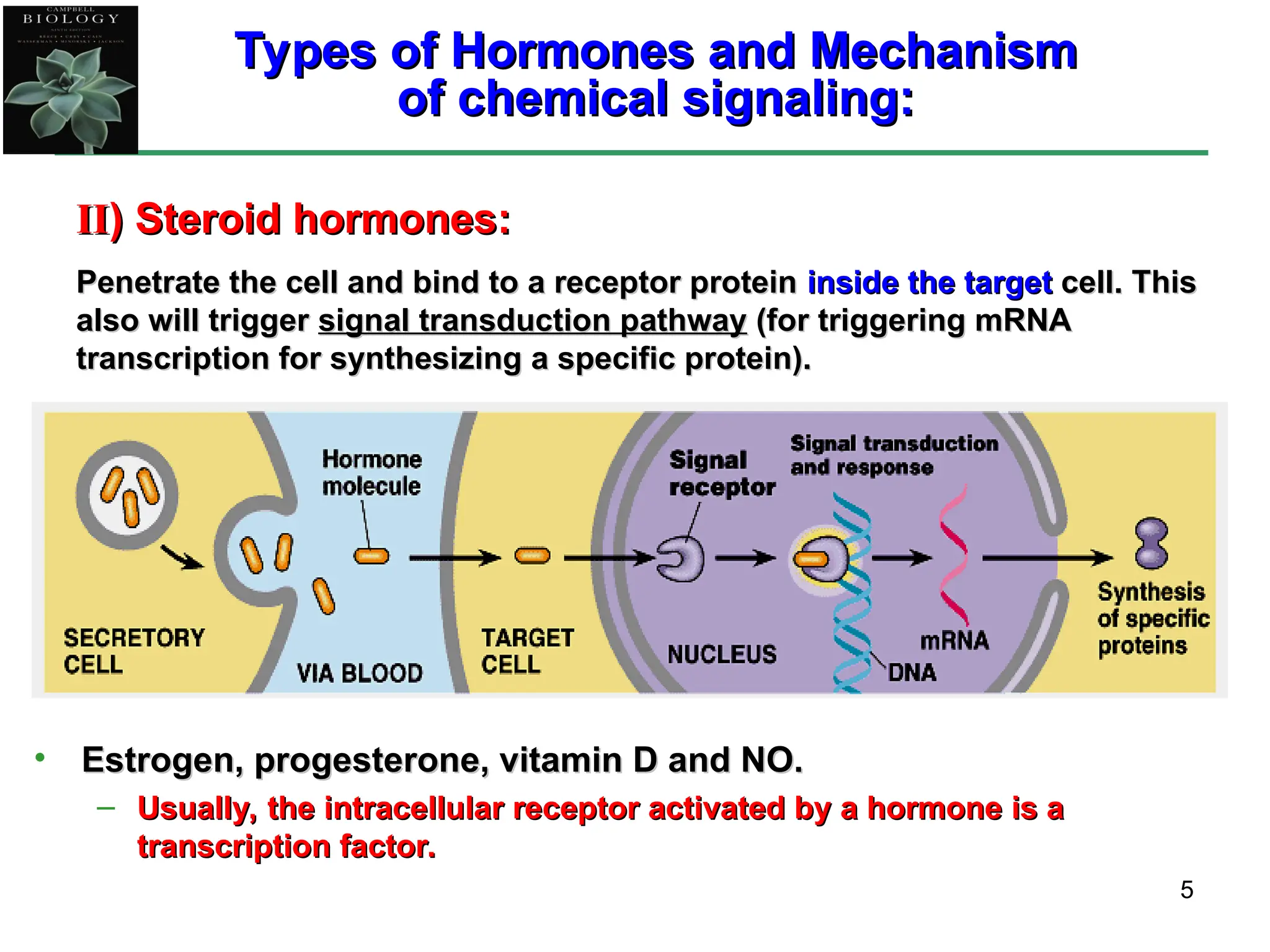 Hormones its classification and chemical naturelecture.ppt