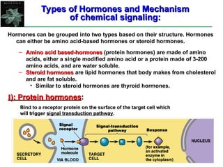 Hormones its classification and chemical naturelecture.ppt
